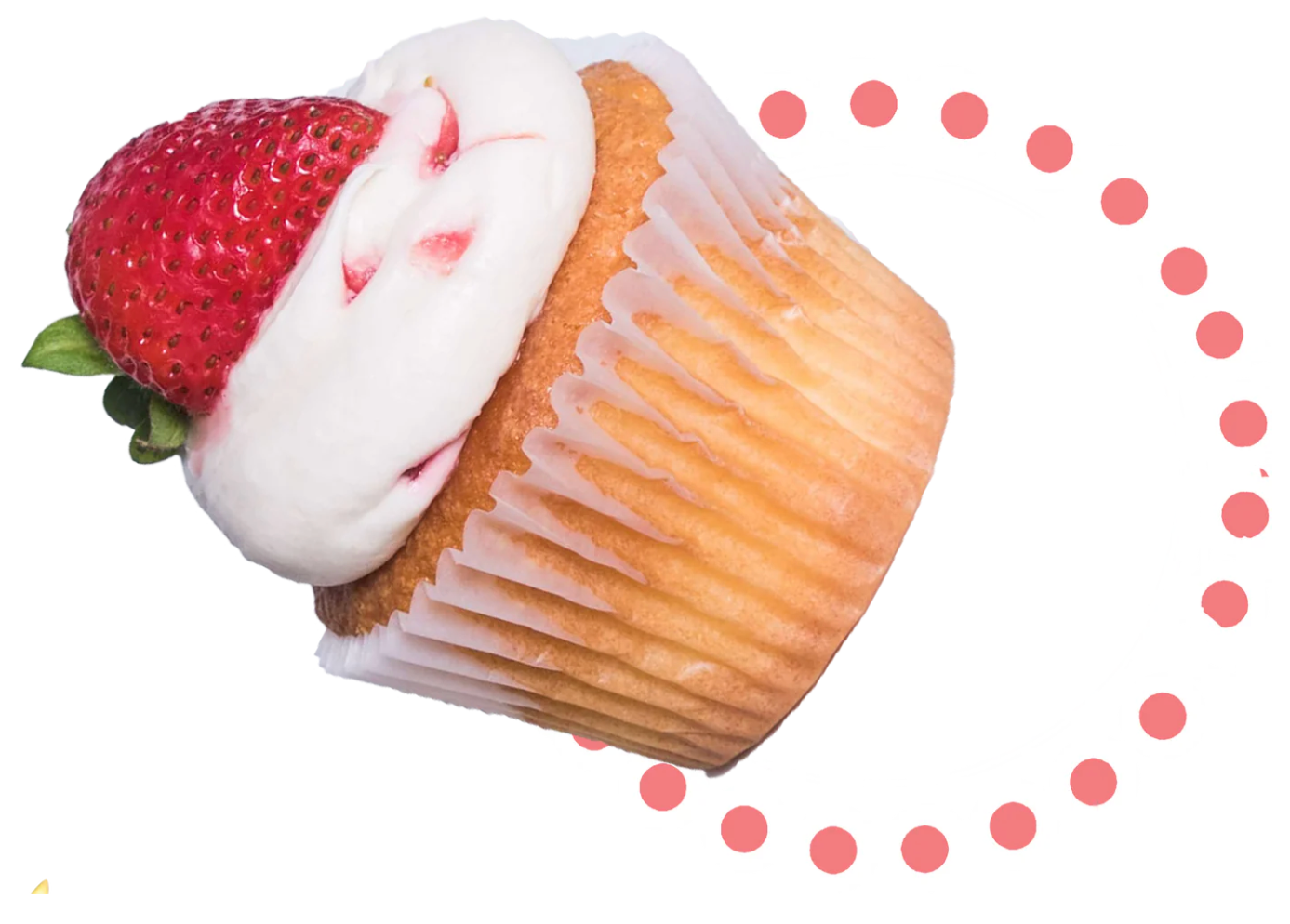 CamiCakes Cupcakes – CamiCakes cupcakes