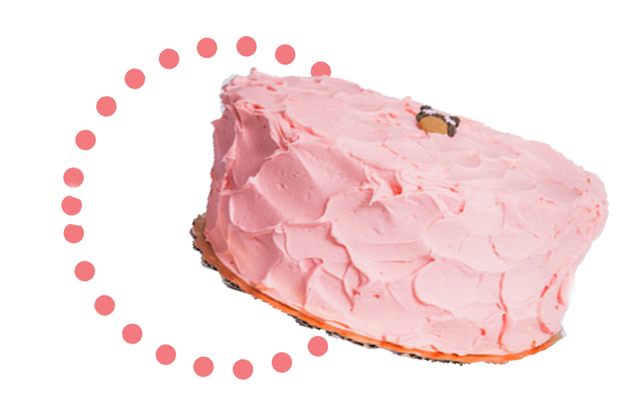 CamiCakes Cupcakes – CamiCakes cupcakes