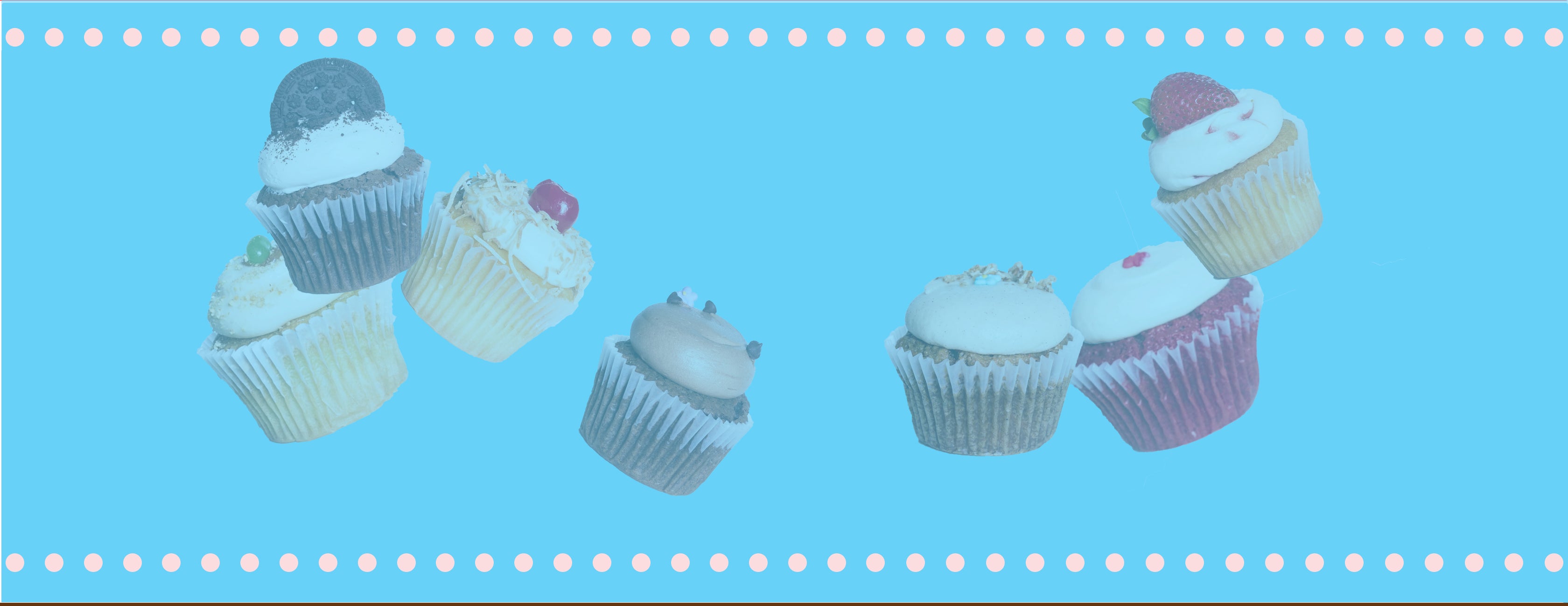 home – CamiCakes cupcakes