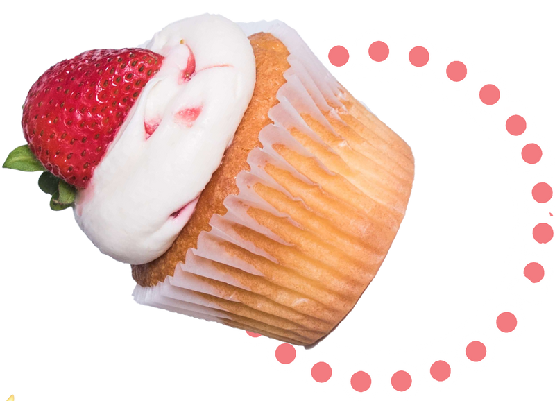 CamiCakes Cupcakes – CamiCakes cupcakes